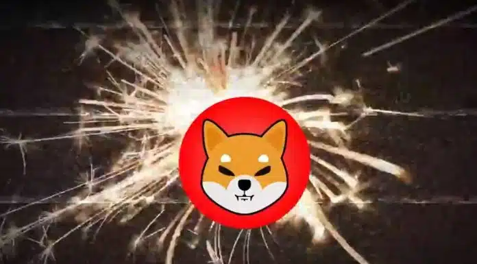 Carteira ligada ao criador da Shiba Inu desperta rumores sobre colapso ...